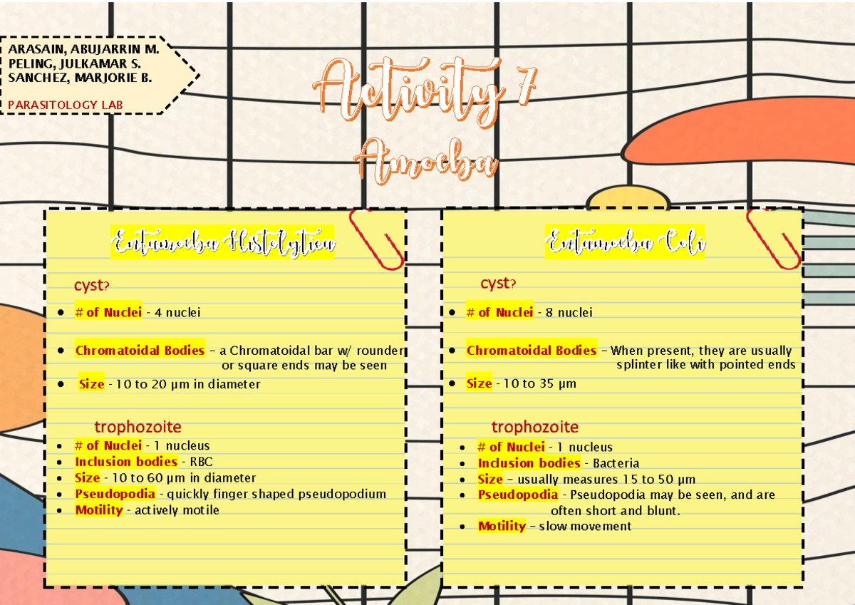 Parasitology LAB Activity 7- Amoeba - ARASAIN, ABUJARRIN M. PELING ...