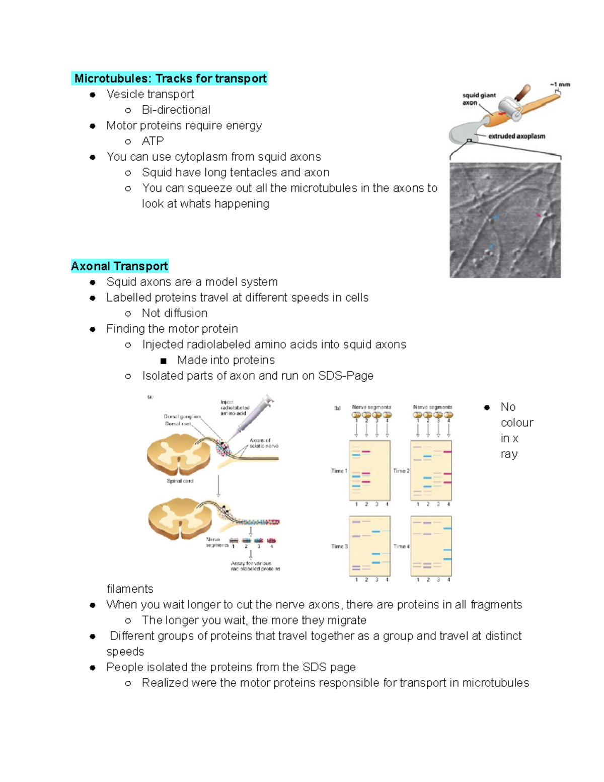 Cell Bio Week 6 - Lecture notes - Microtubules: Tracks for transport ...