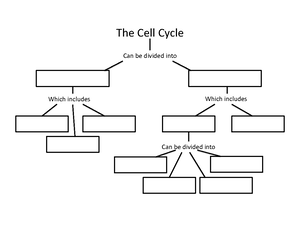 Chapter 11 Bio AP Notes - Cheat sheet - Chapter 11 Cell Communication ...