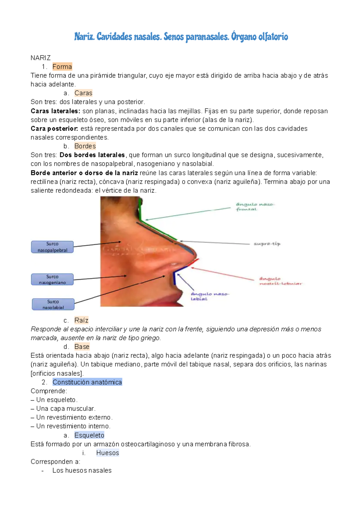 Nariz - latarjet Capitulo 91 - Nariz. Cavidades nasales. Senos ...