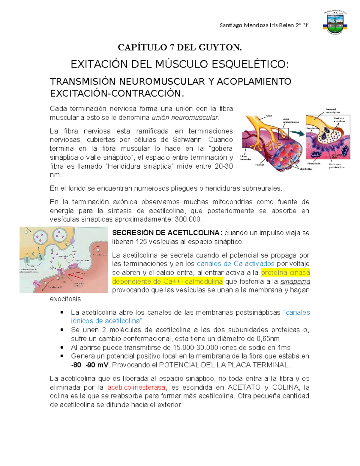 Capítulo 7 DEL Guyton - Resumen Tratado de fisiologia Medica - Santiago ...