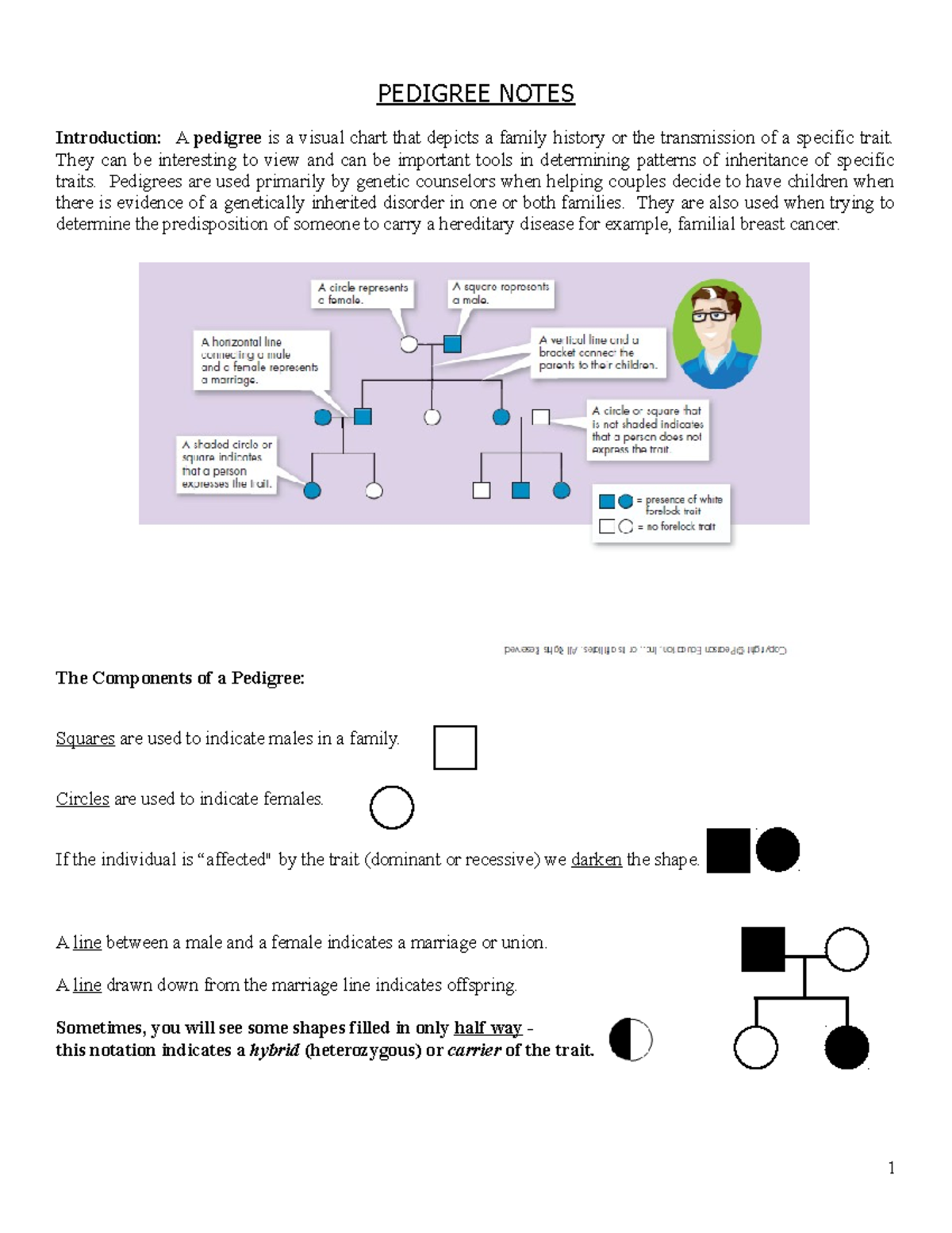 Pedigree intro worksheet - PEDIGREE NOTES Introduction: A pedigree is a ...