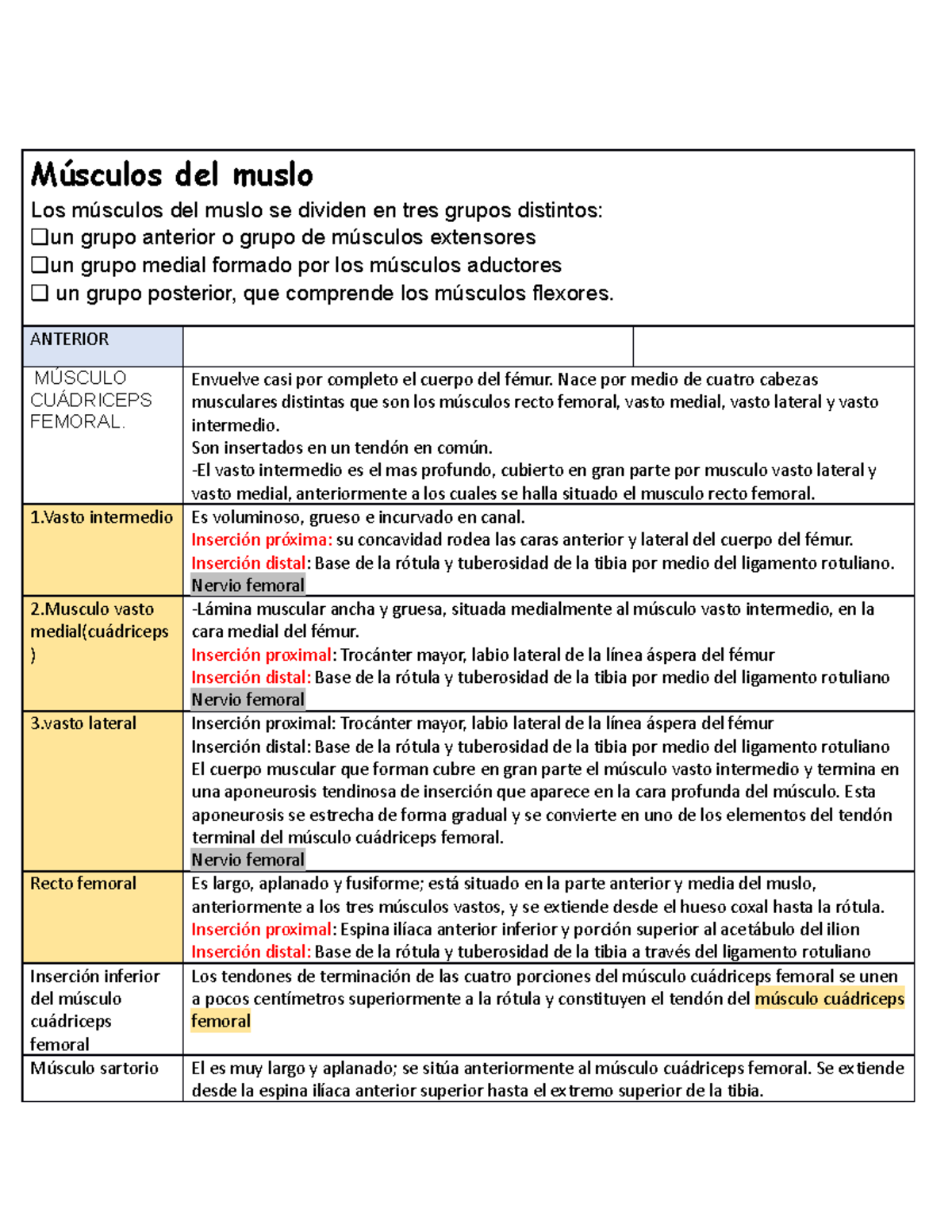 Musculos muslo - Músculos del muslo Los músculos del muslo se dividen ...