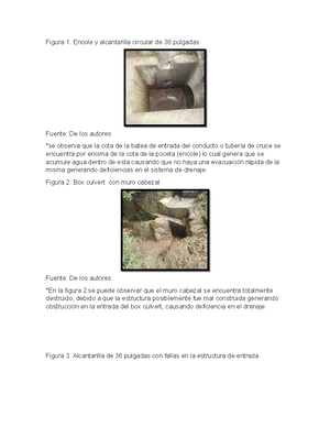 Proyecto ( Entrega Final) - TABLA DE CONTENIDO 1 LA IDEA Pág. 2 ...