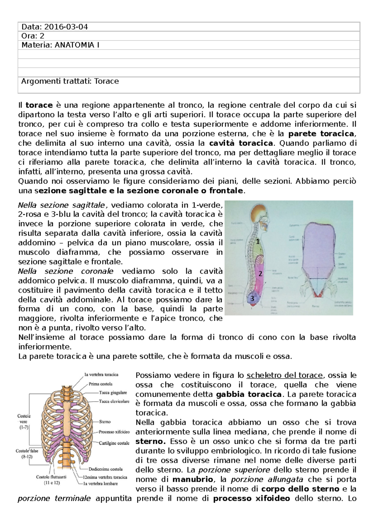 Anatomia del torace - Data: 2016-03- Ora: 2 Materia: ANATOMIA I ...