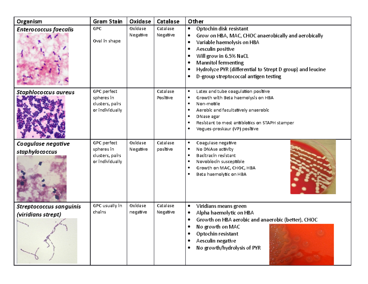 Sepsis organisms - revision notes for the subject clinical bacteriology ...