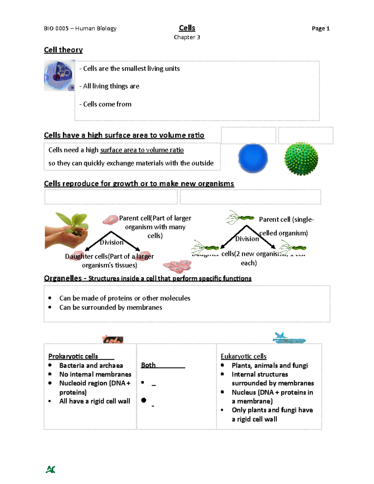 Bio 1 Cells - Lecture notes 1 - Cells BIO 0005 – Human Biology Page 1 ...