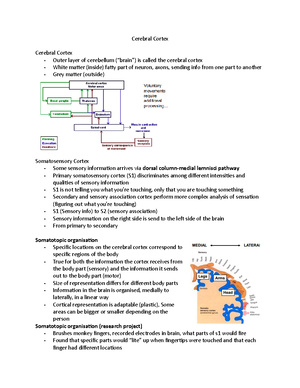 KINE 4P10 Lectue 3 - Lecture 3 - KINE 4P Lecture 3 Sum of forces Take ...