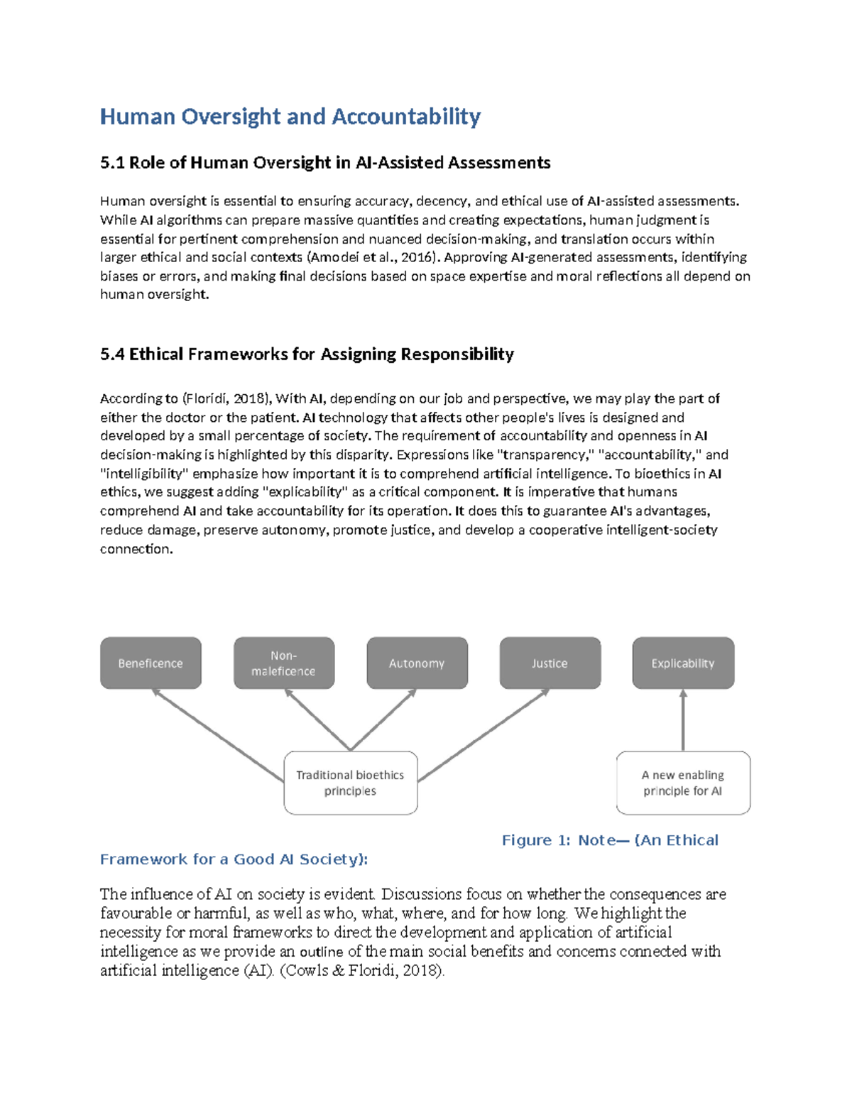 Human Oversight and Accountability and Impact on the Therapeutic ...