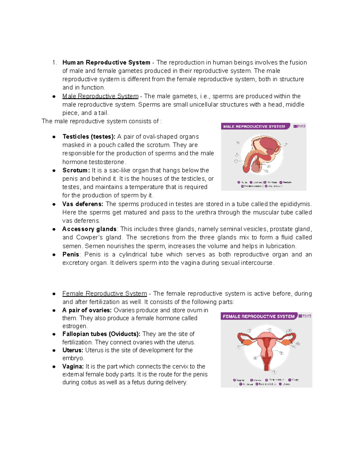 UTS Research (Reproductive) - Human Reproductive System - The ...