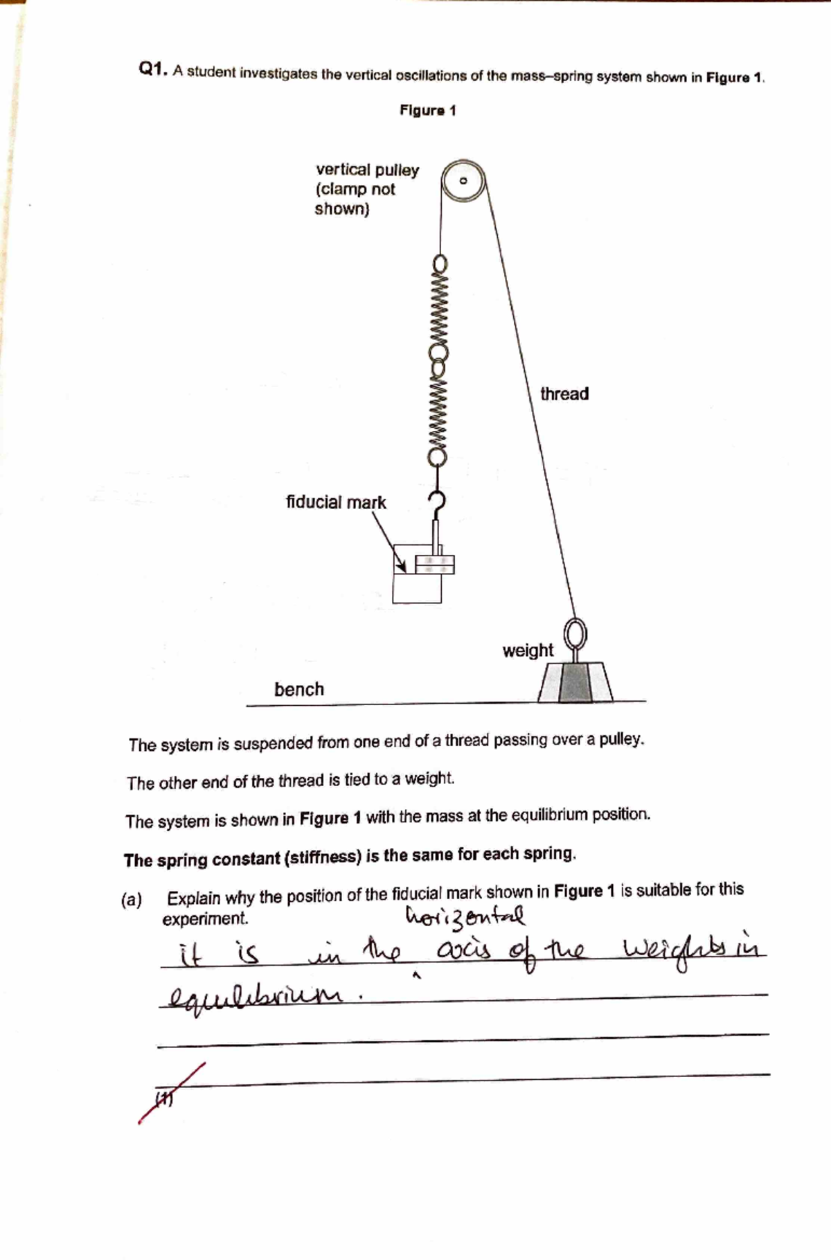simple harmonic motion - Studocu
