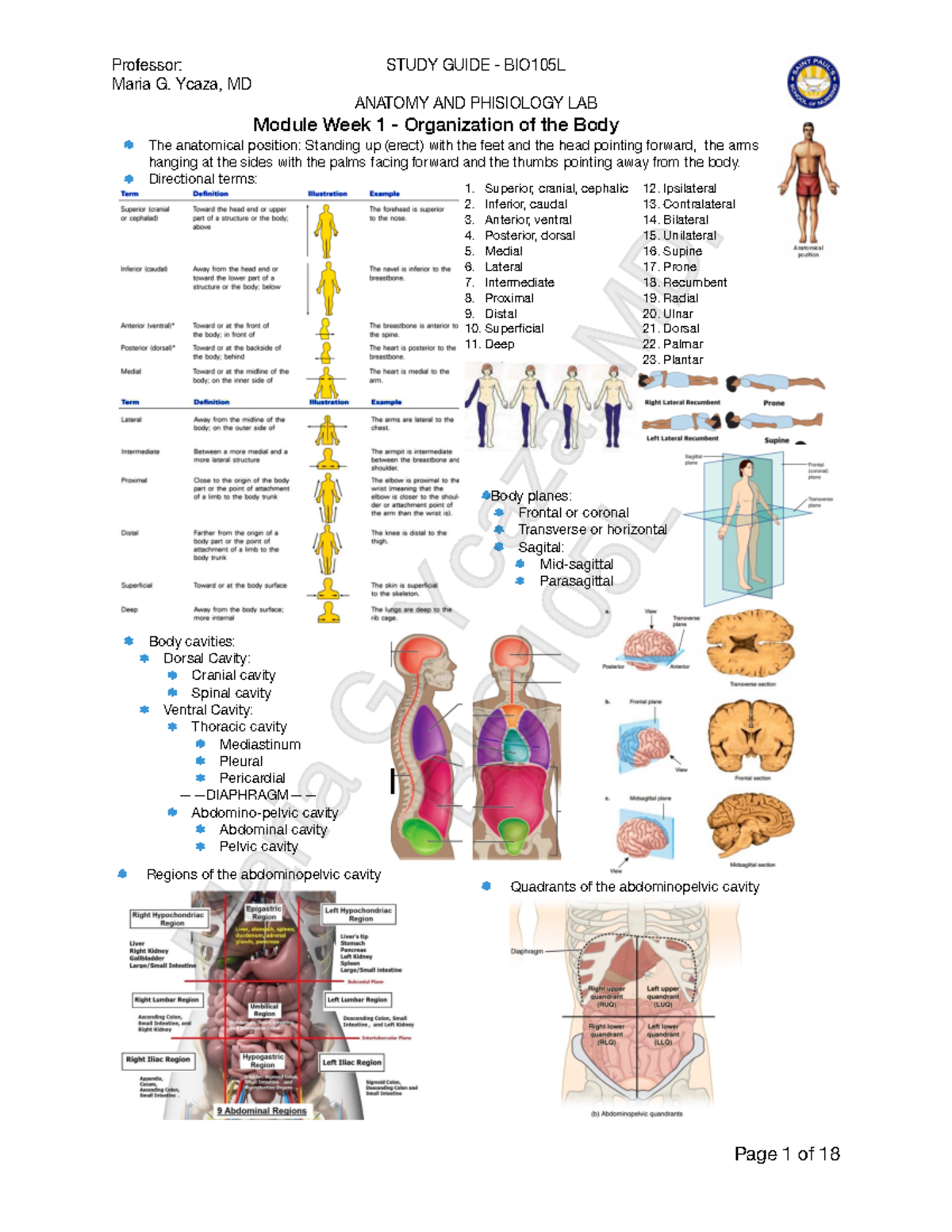 Cheatsheet - Maria G. Ycaza, MD ANATOMY AND PHISIOLOGY LAB Module Week ...