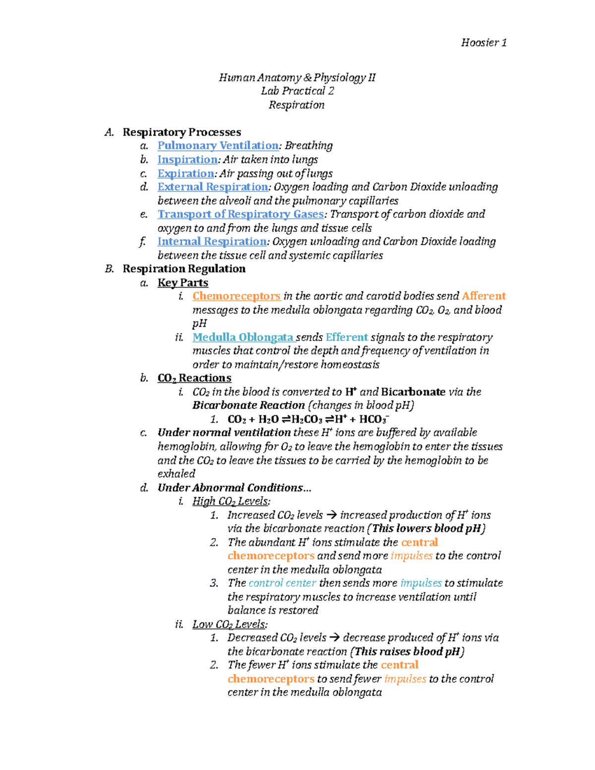 Respiration Lab Review - Human Anatomy & Physiology II Lab Practical 2 ...