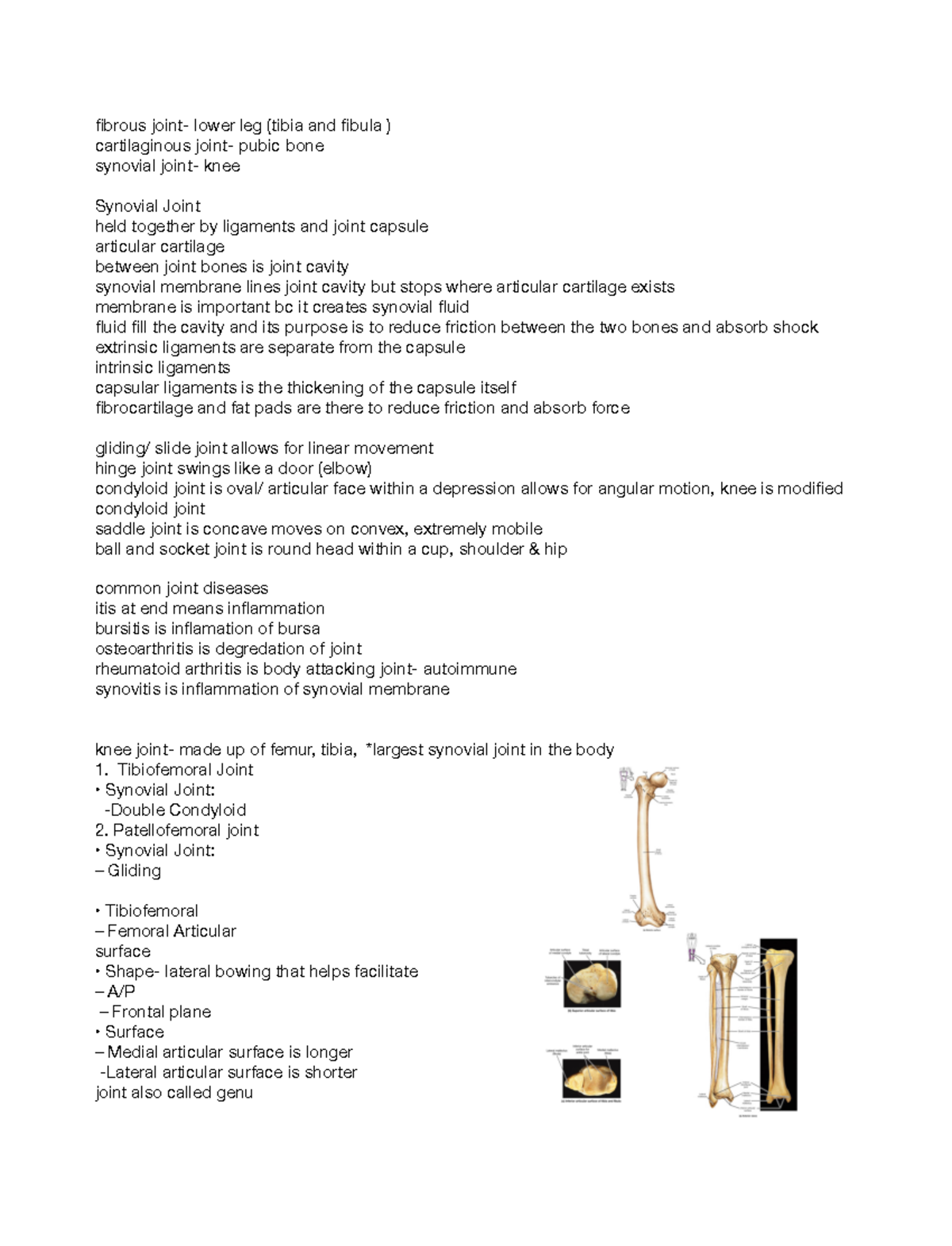 Arthrology - Prof Burnet - fibrous joint- lower leg (tibia and fibula ...
