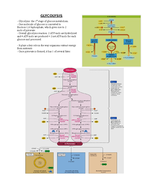 LAB Report 5 Biology SB015 - LAB REPORT: EXPERIMENT 5 TITLE: Inheritance OBJECTIVES: 1. To ...