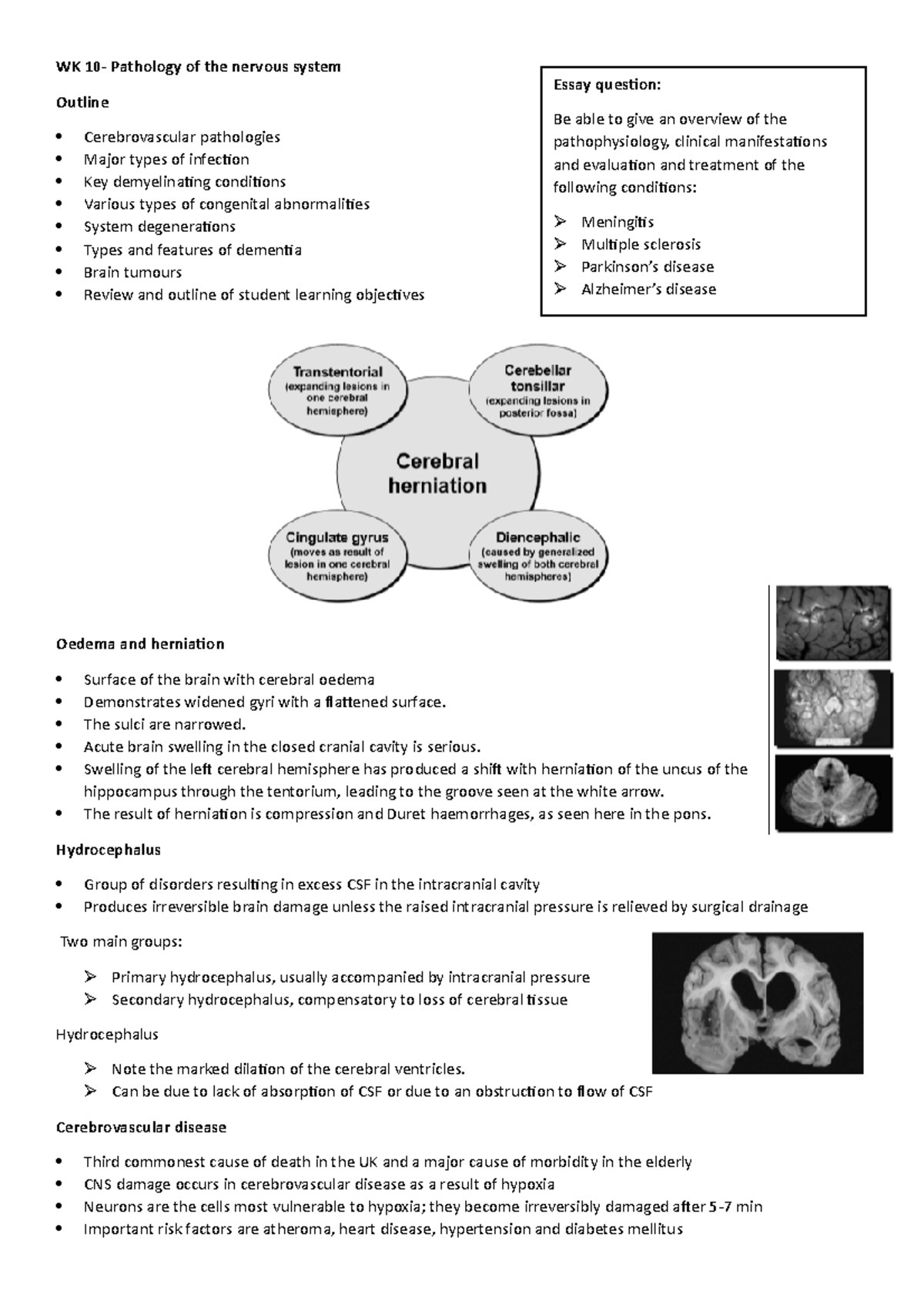 WK10- Pathology of the nervous system - WK 10- Pathology of the nervous ...