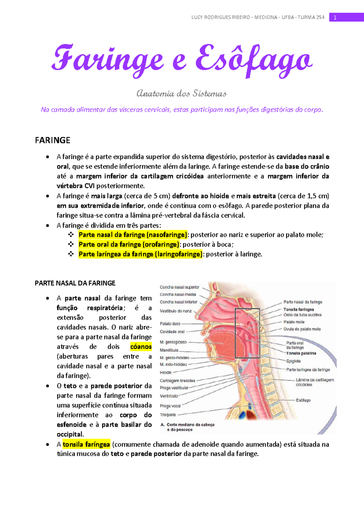 2. Faringe e Esôfago - Faringe e Esôfago Anatomia dos Sistemas Na ...