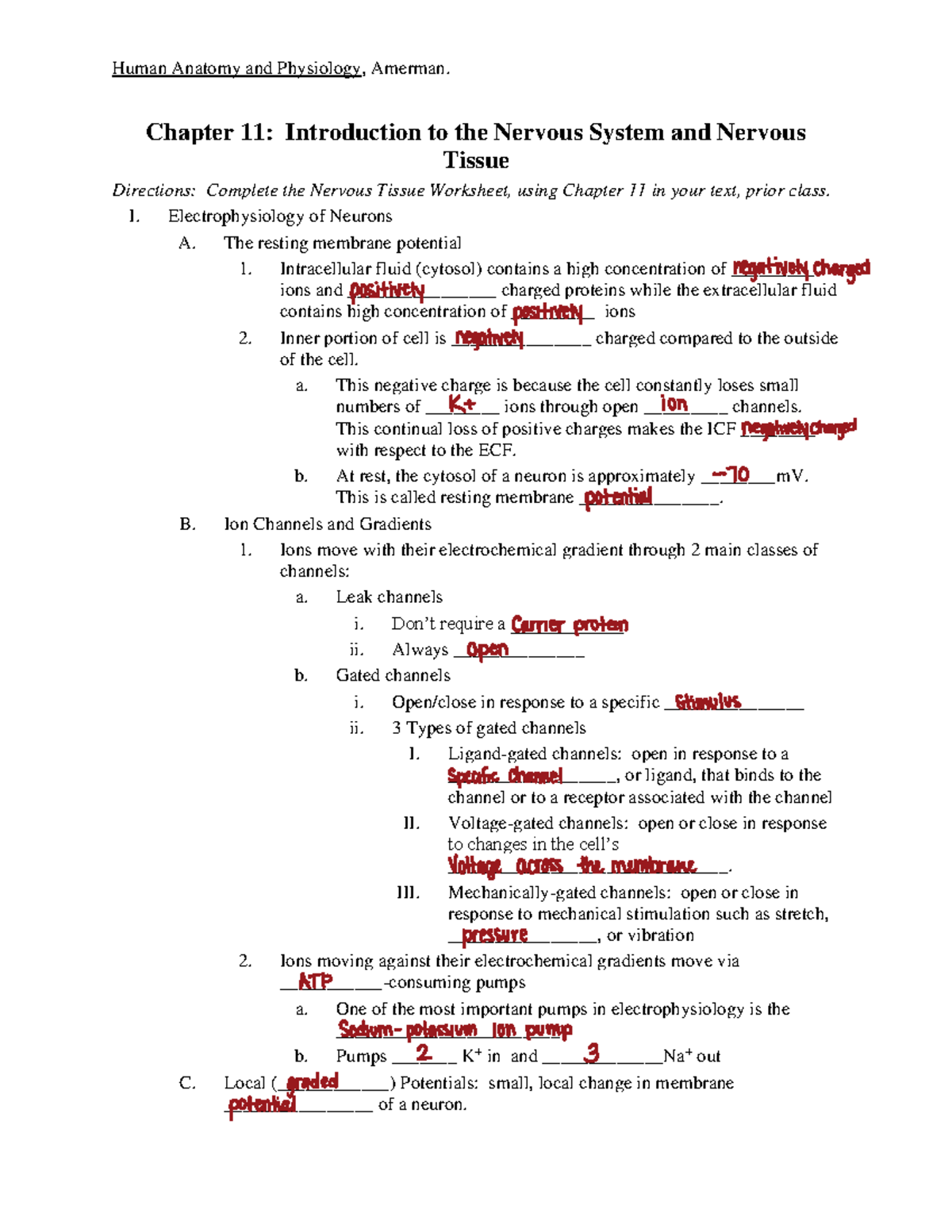Chapter 11 - Chapter 11: Introduction to the Nervous System and Nervous ...