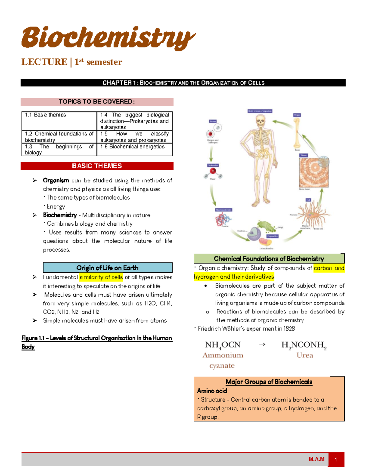 Biochemistry Module - LECTURE | 1st semester CHAPTER 1 : BIOCHEMISTRY AND THE ORGANIZATION OF ...