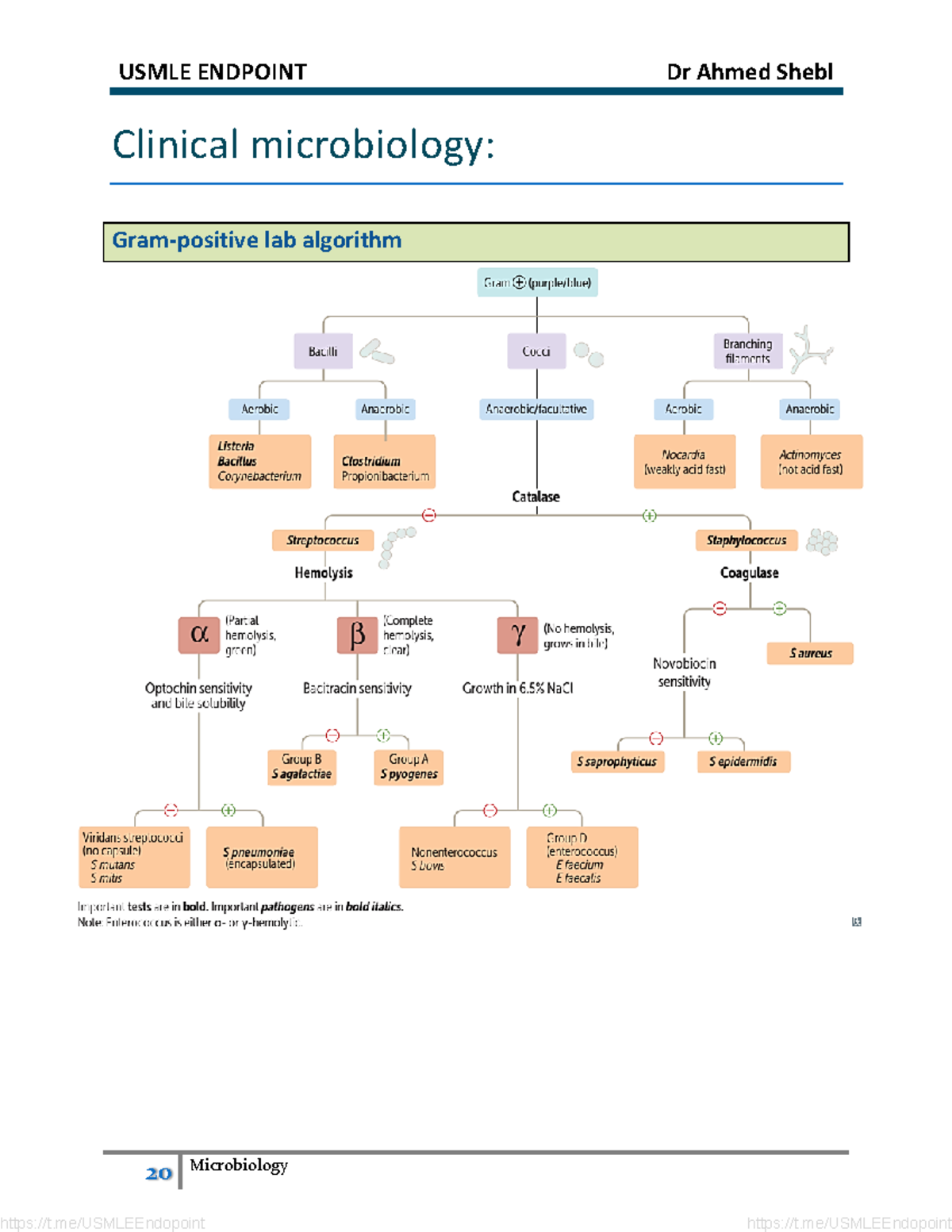 8 - Microbiology - 2021 edition-2 - 20 Microbiology Clinical ...