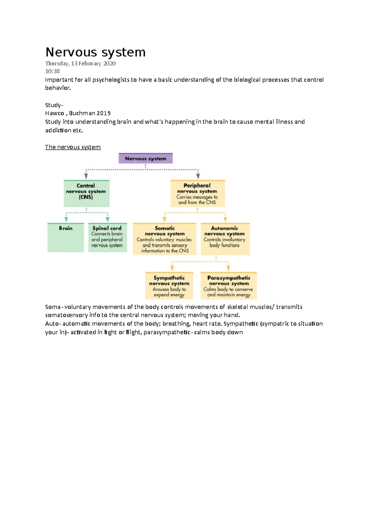 Nervous system - Module: introduction to psychology- biological ...