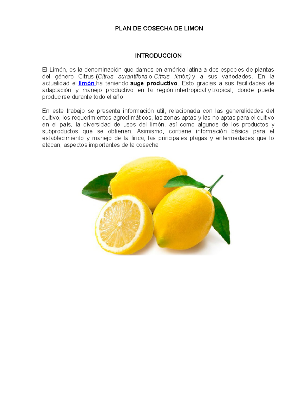 PLAN DE Cosecha DE Limon - PLAN DE COSECHA DE LIMON INTRODUCCION El ...