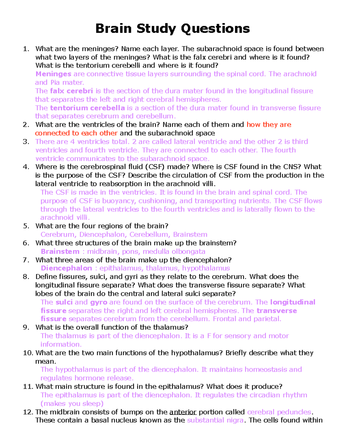 Brain Study Questions - Brain Study Questions What are the meninges ...