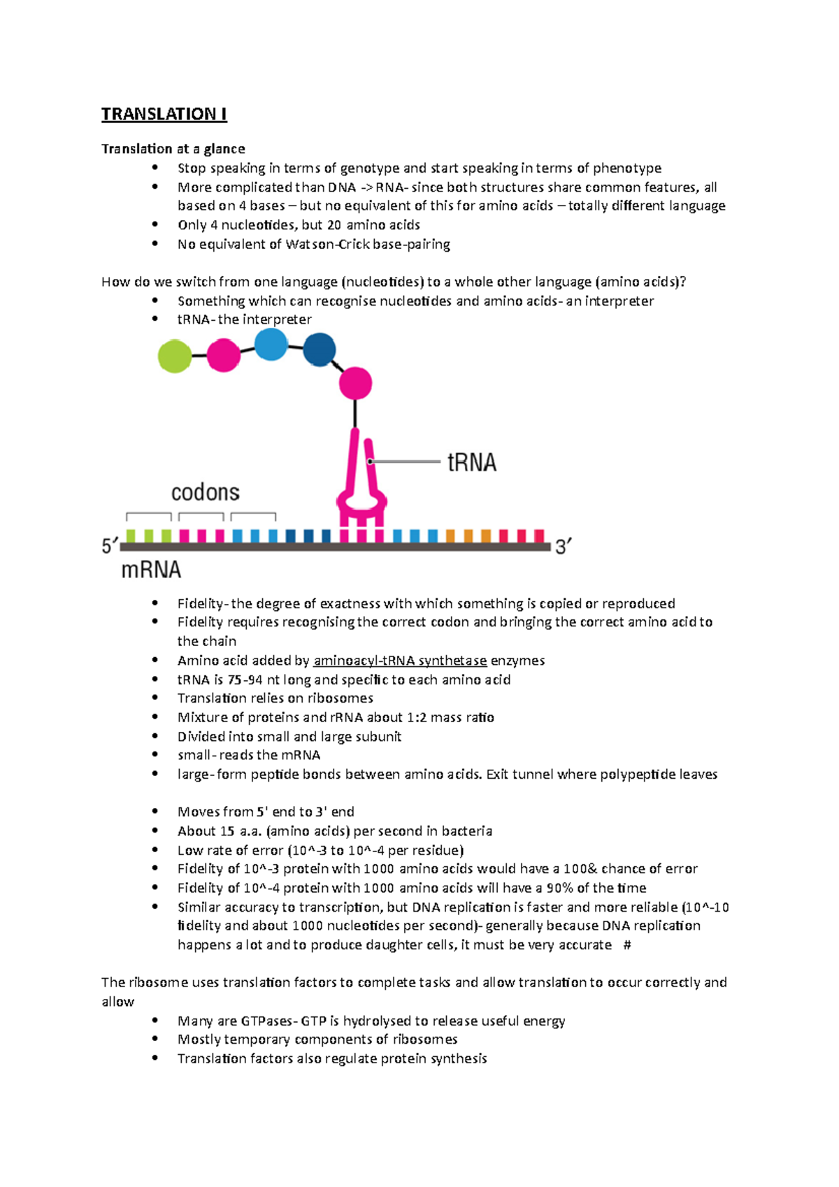 Translation lectures - TRANSLATION I Translation at a glance - Studocu