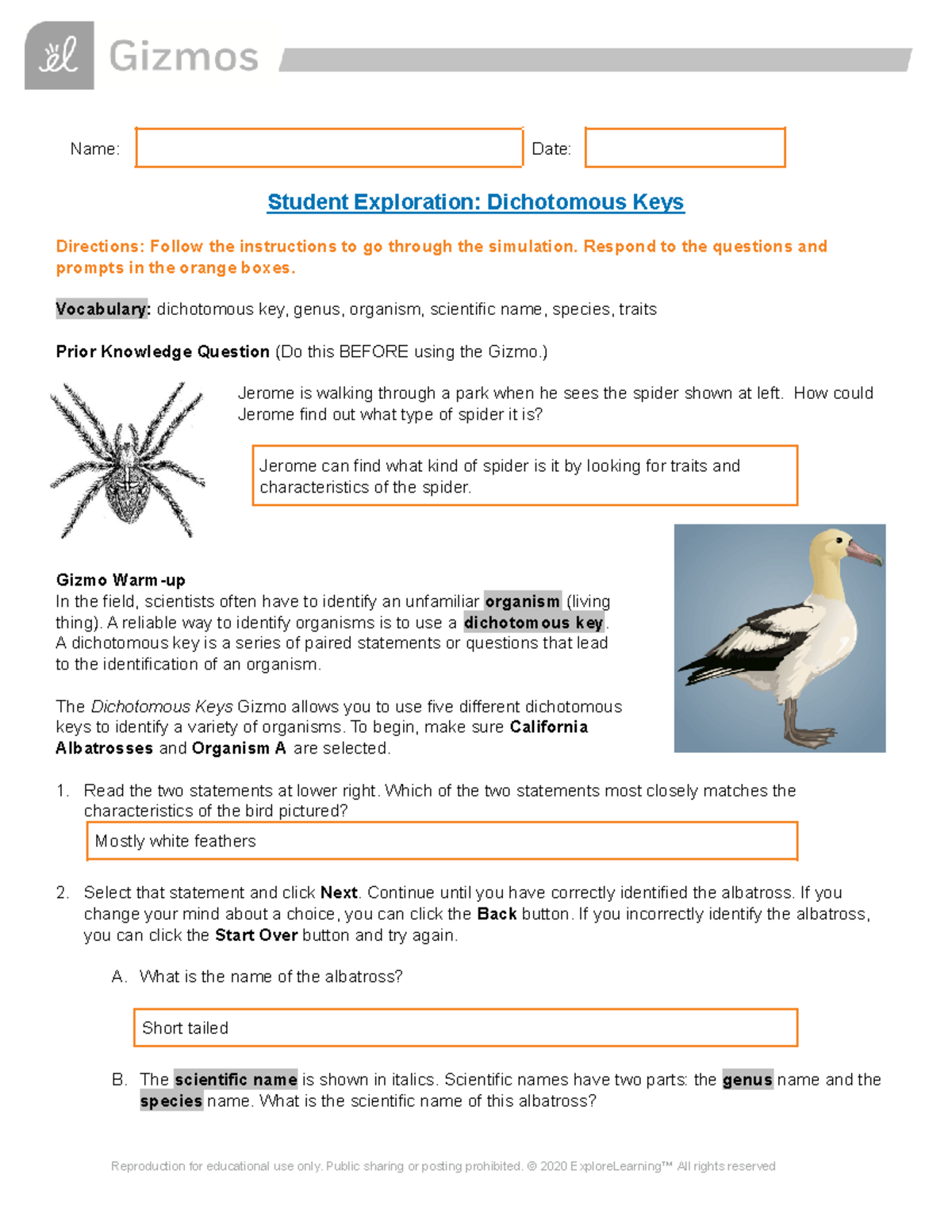 Dichotomous Keys SE - rdtfyguhijo - Name: Date: Student Exploration ...