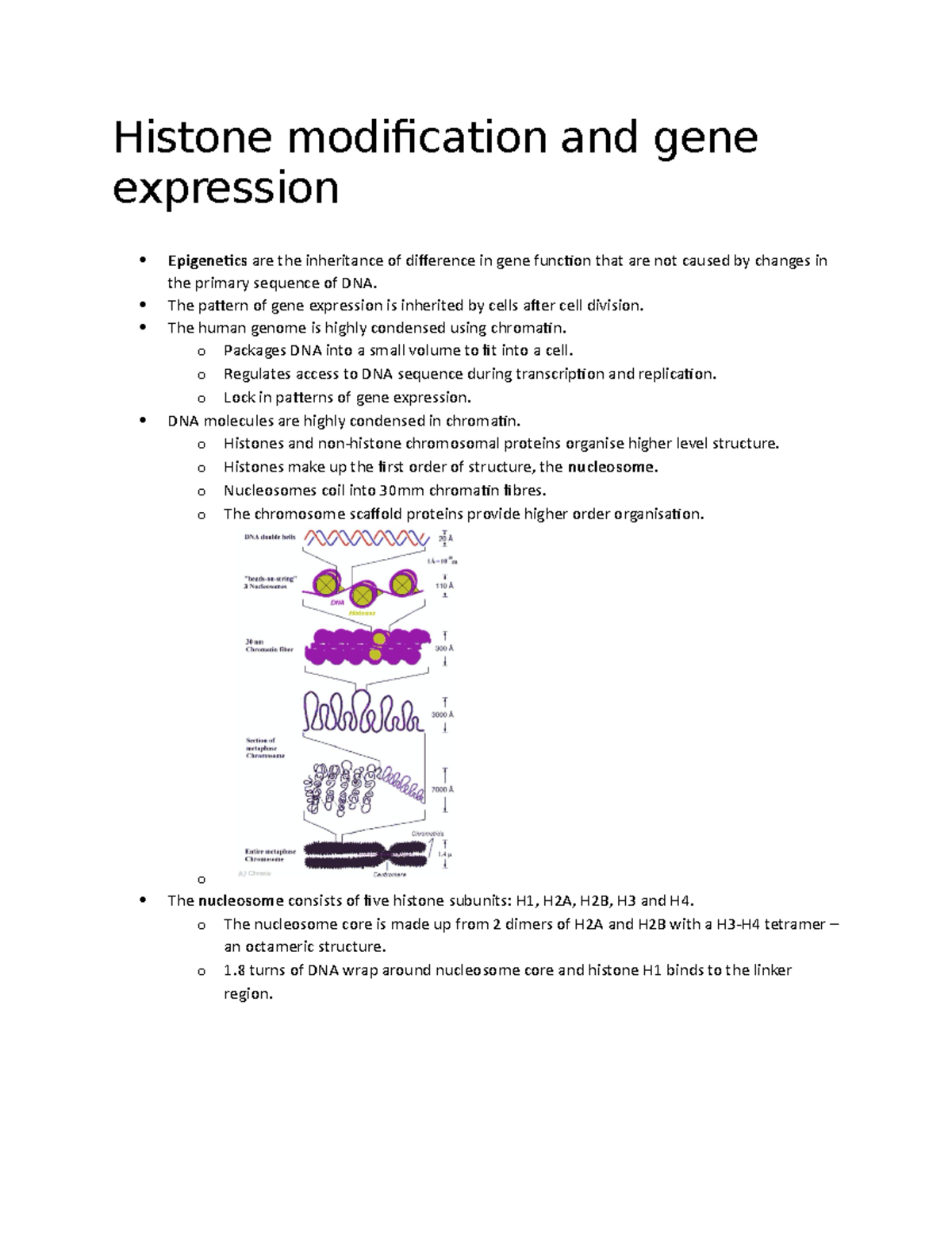 Molecular Basis - Histone modification and gene expression - Histone ...