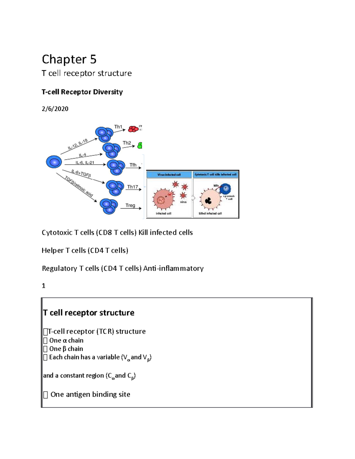 Chapter 5 T cell receptor - 􏰀 􏰀 The two types of T-cells are ...