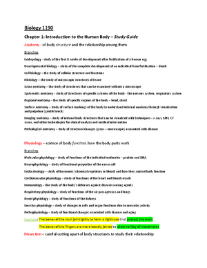 Integumentary System - Study Guide - Integumentary System A. Integument ...
