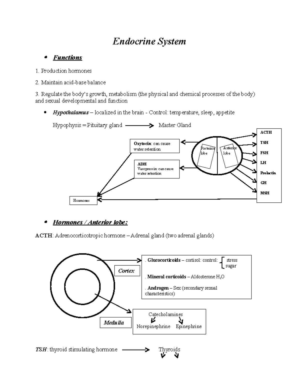 Endocrine System Nclex-1 - Endocrine System Functions Production ...