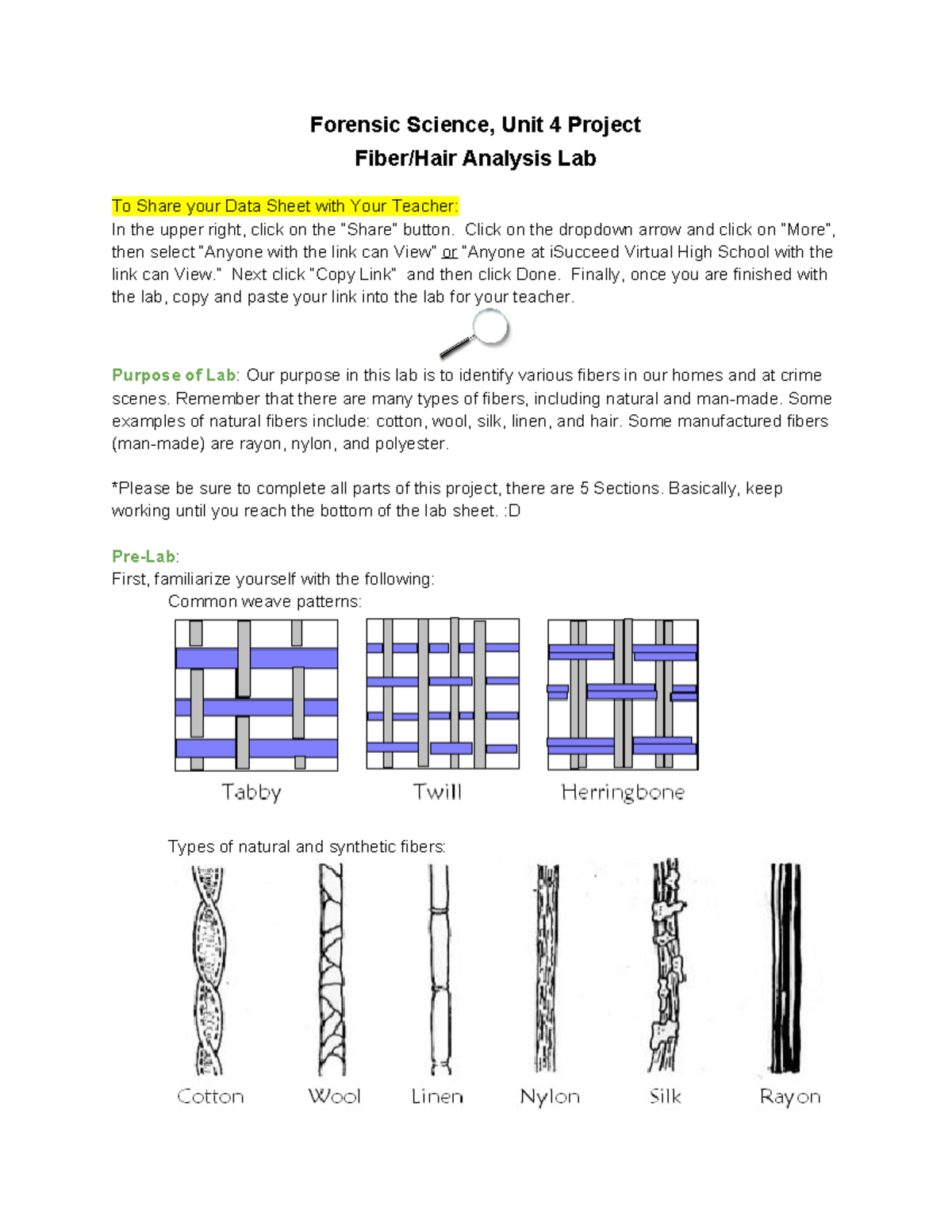 Copy of Unit 4 Project- Fiber and Hair Analysis Lab - Forensic Science ...