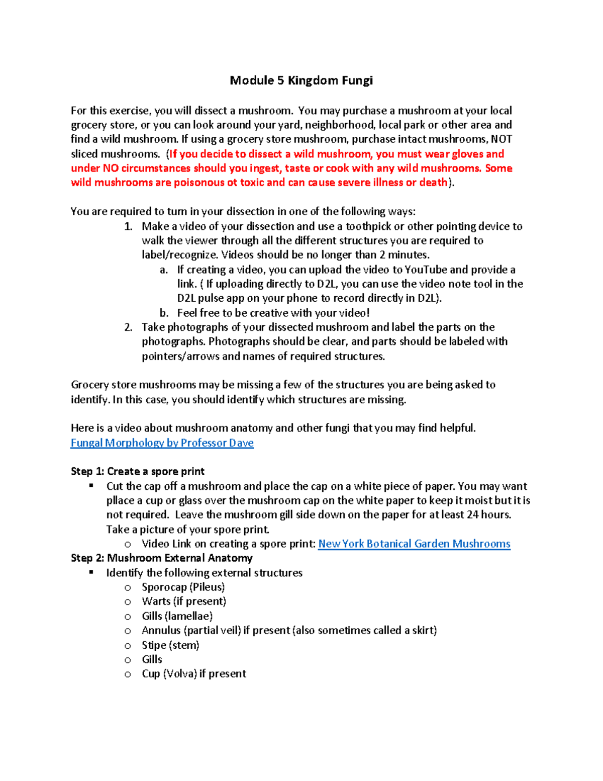Module 5 Mushroom Dissection Activity - Module 5 Kingdom Fungi For this ...