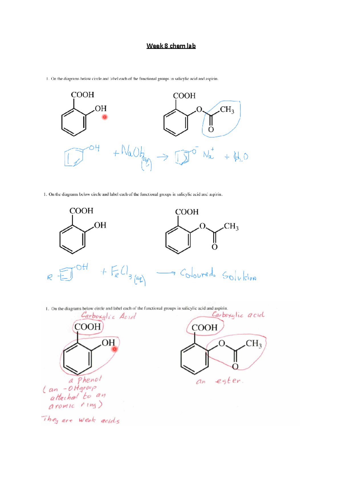 Week 8 chem lab - chem labs - Chem101 - Week 8 chem lab - Studocu