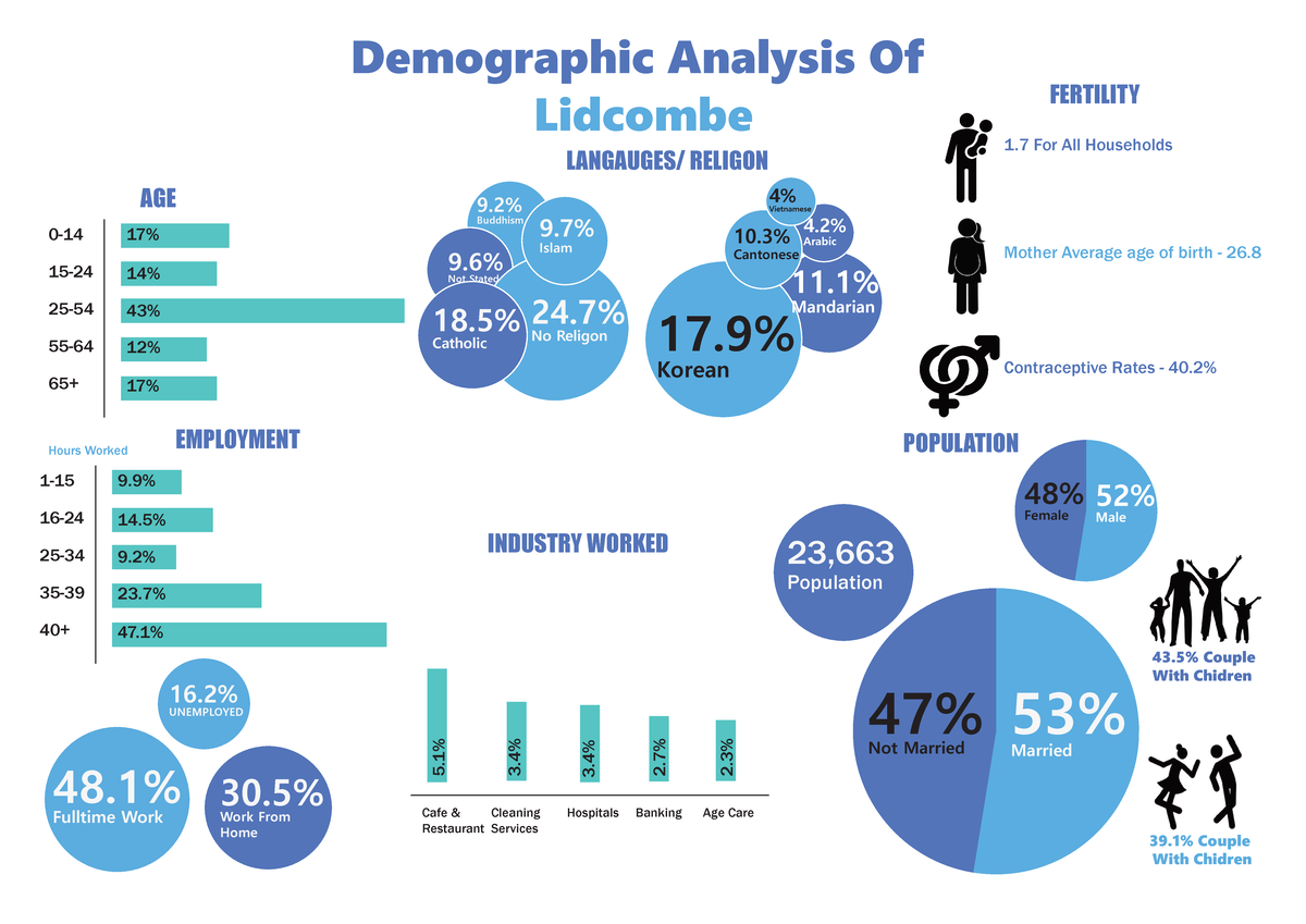 Final fianl - Demographic Analysis Lidcombe - Demographic Analysis Of ...