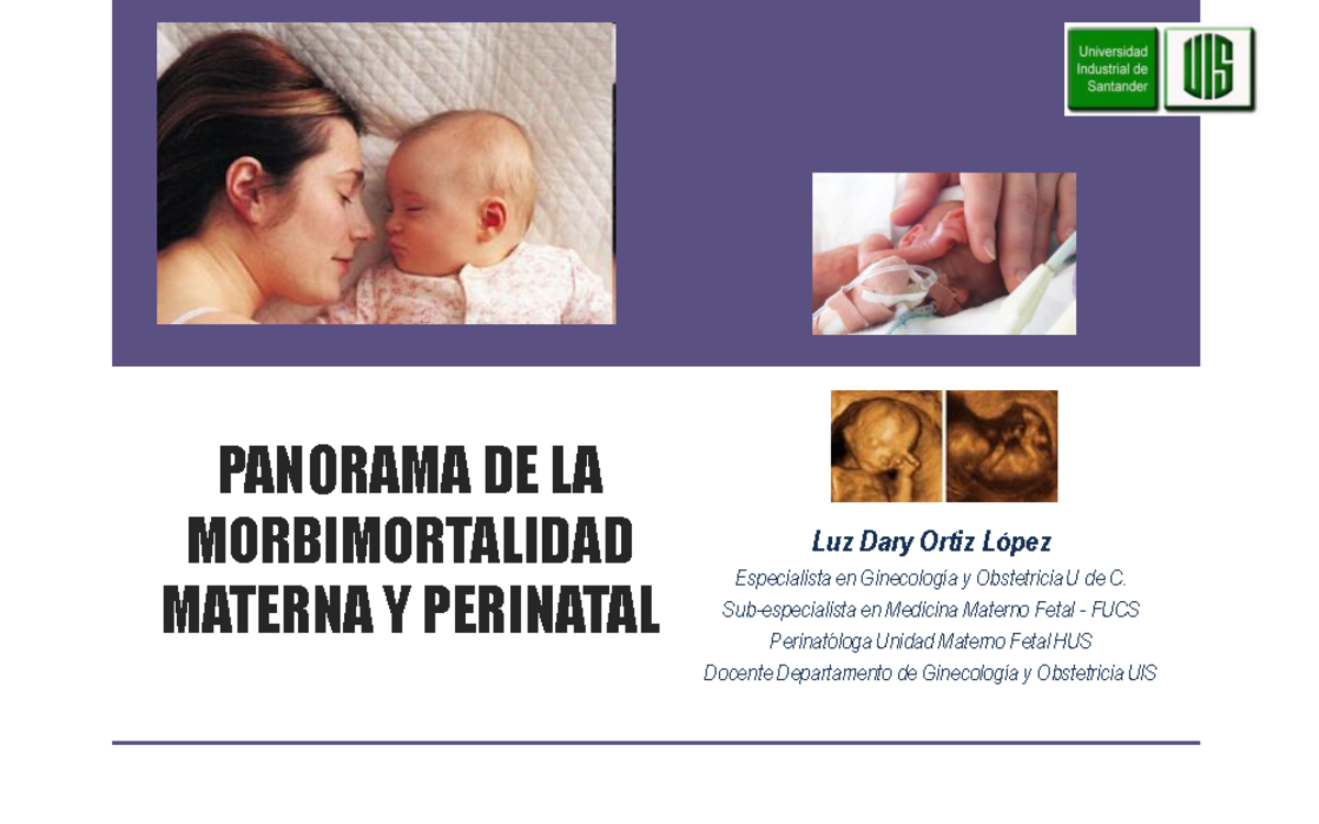 Ldortizl Panorama Morbimortalidad Materna Y Perinatal Actualizado 2021 ...
