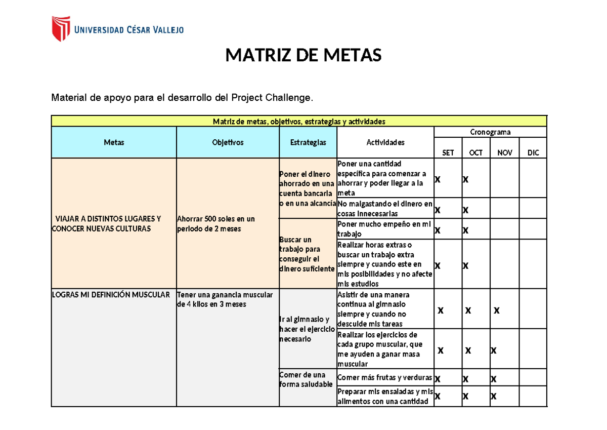 Matriz DE Metas para hoy - MATRIZ DE METAS Material de apoyo para el ...