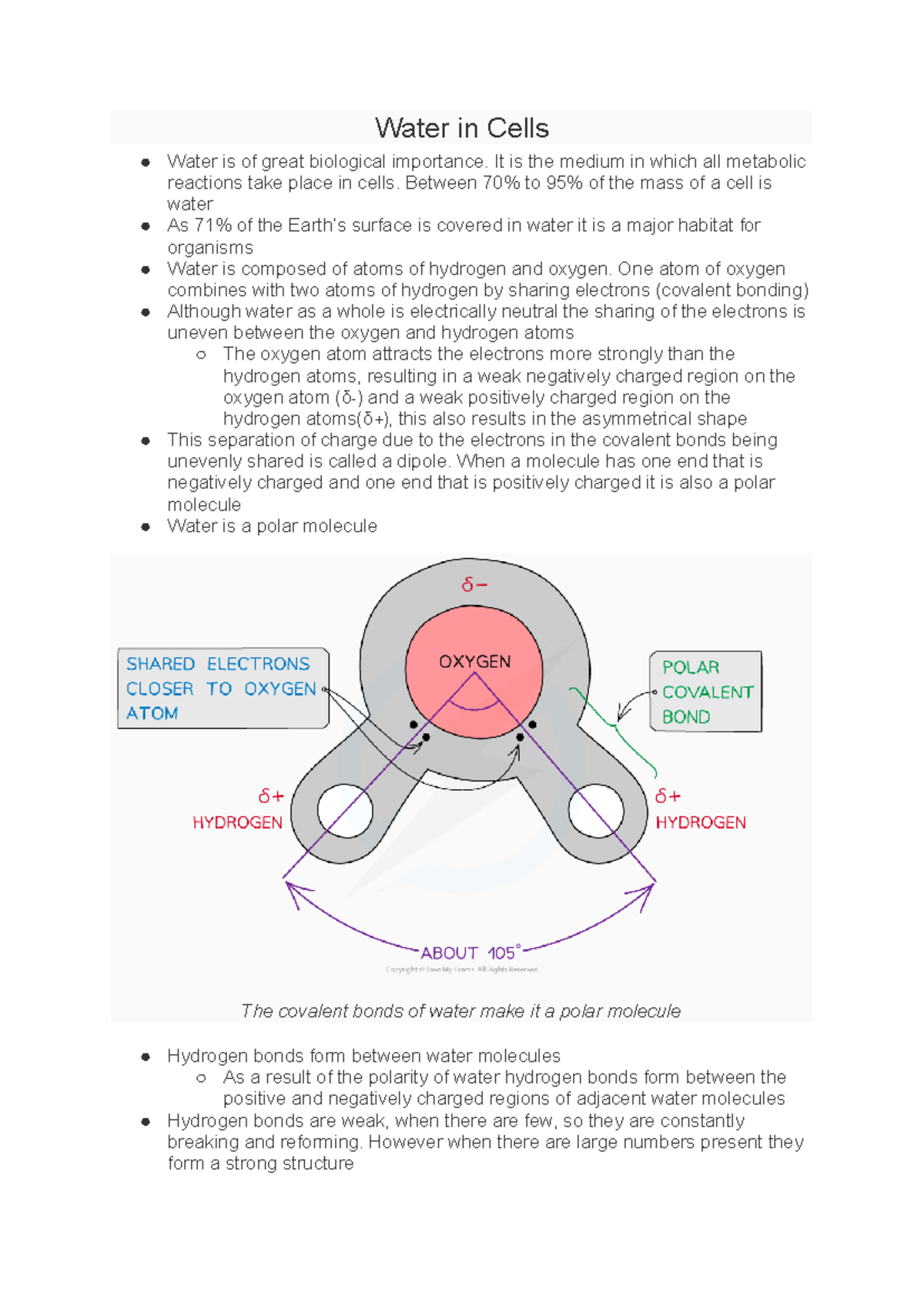 Bio Water in Cells - Water in Cells Water is of great biological ...