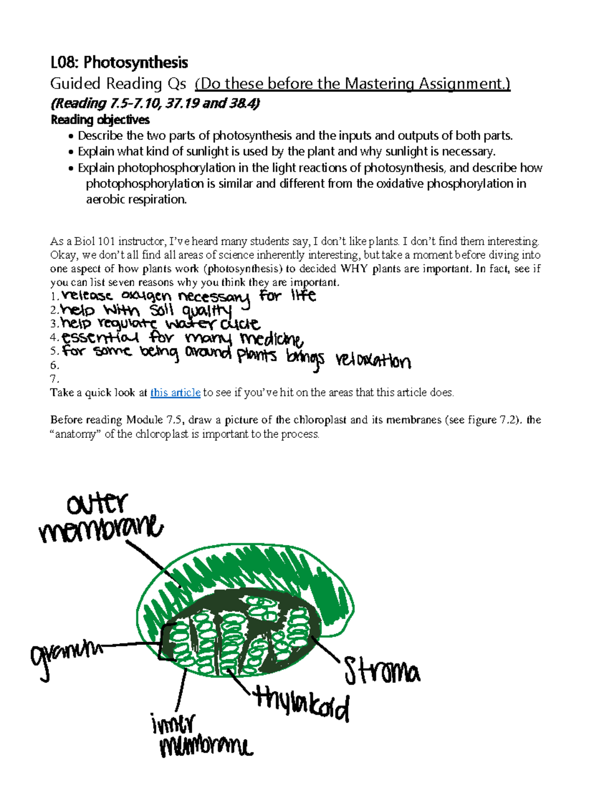 Lesson++8 GRQs Photosynthesis - L0 8 : Photosynthesis Guided Reading Qs ...