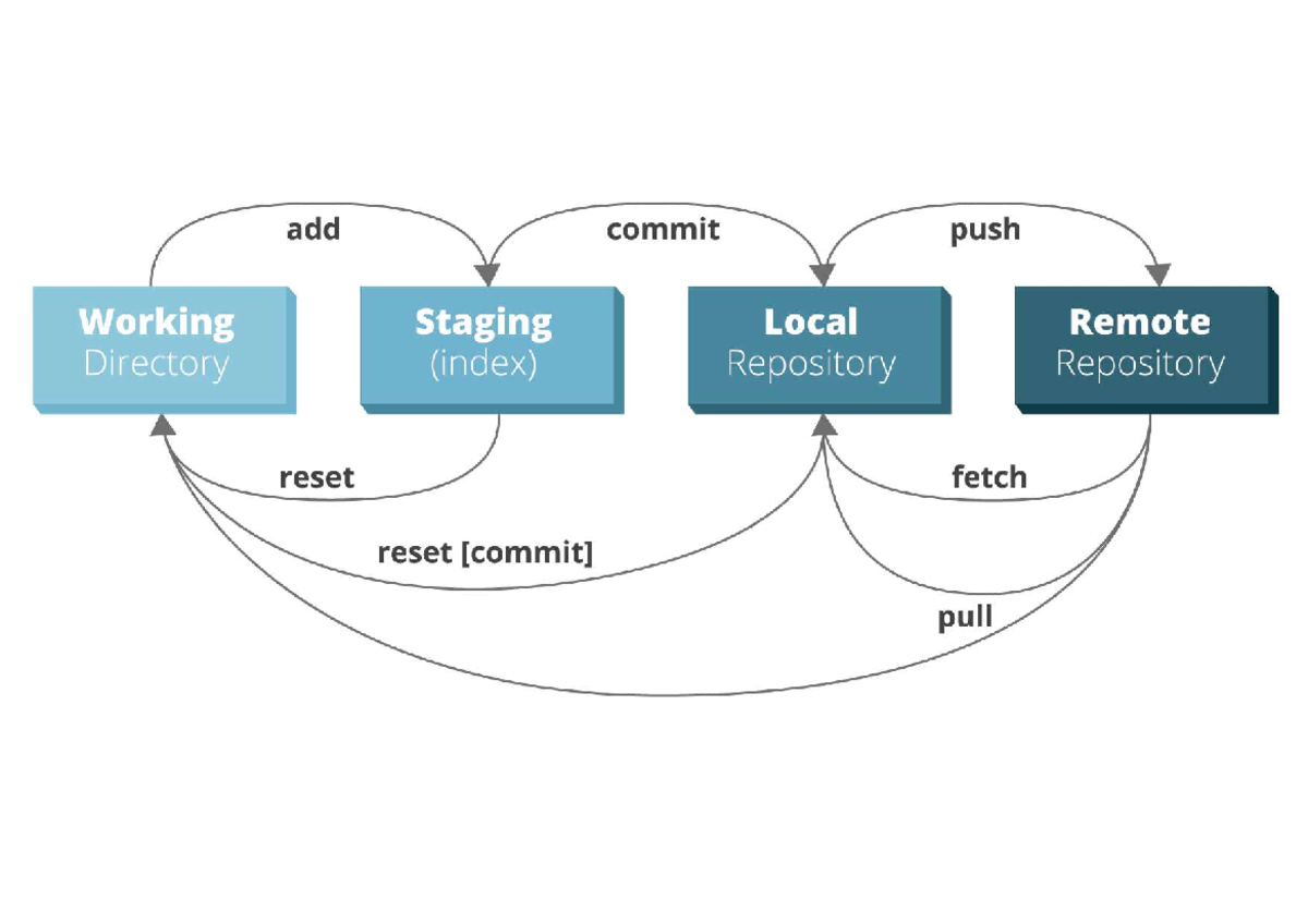 8341g68g1v7y - Copy - lecture notes on b.s - Bcom hons. - Studocu