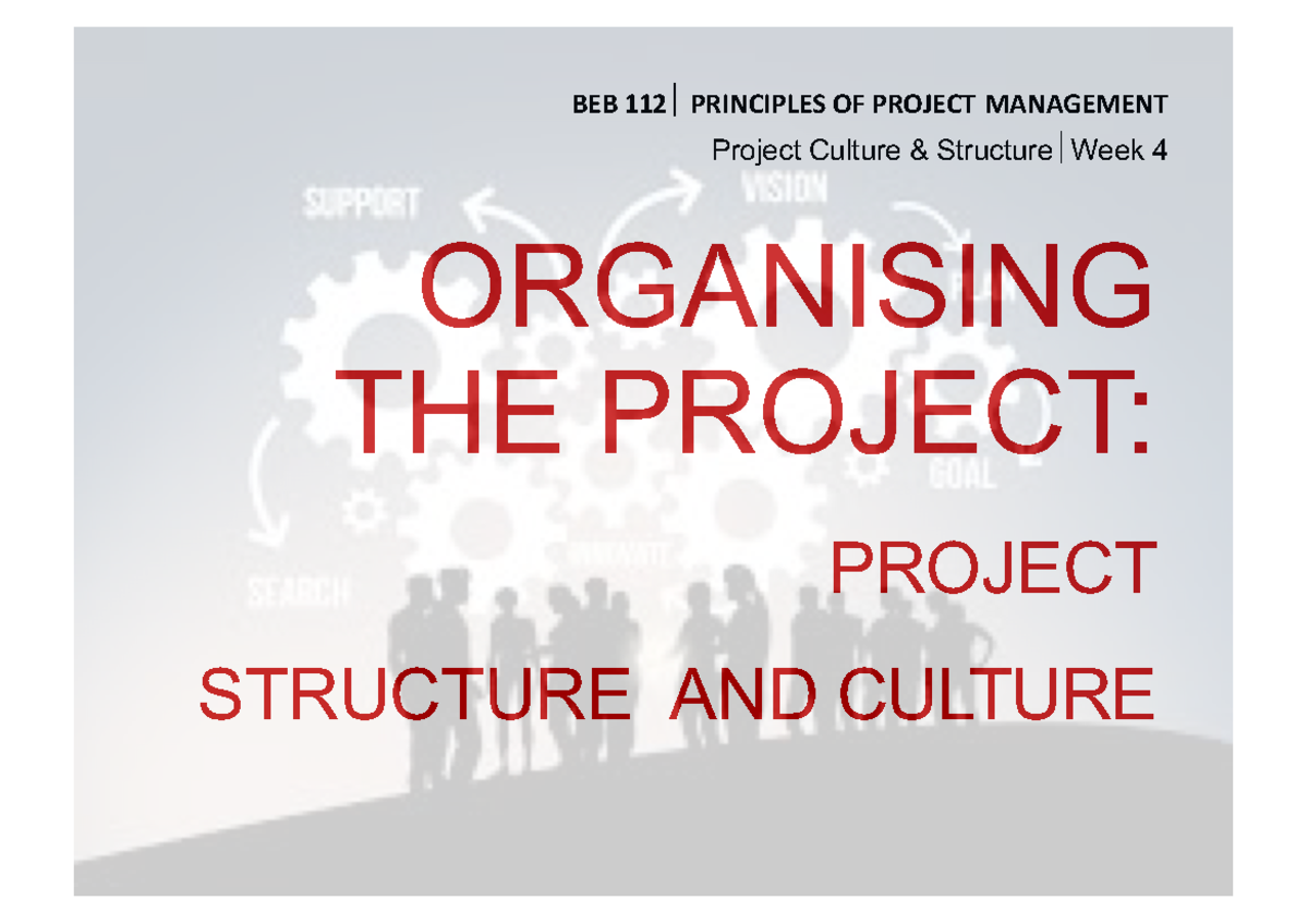 BEB112 Week 5 Culture & Structure - ORGANISING THE PROJECT: PROJECT ...