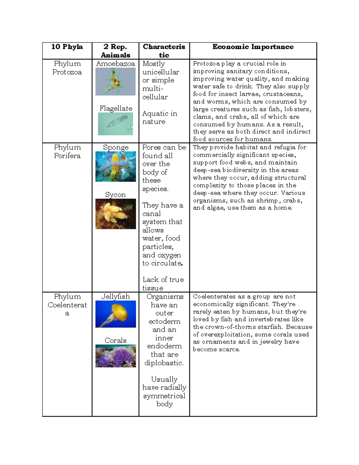 10 Phylum of animals Economic Importance and characteristic - 10 Phyla ...