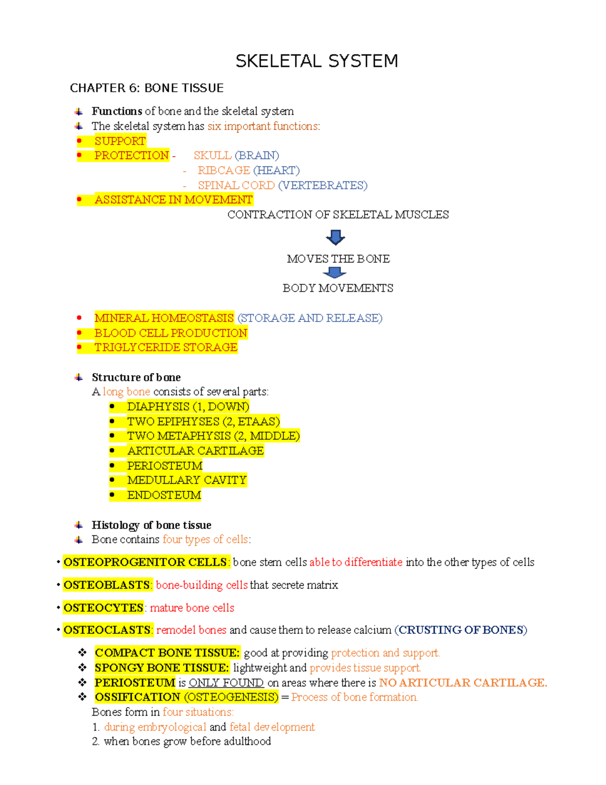 Skeletal- System - SKELETAL SYSTEM CHAPTER 6: BONE TISSUE Functions of ...
