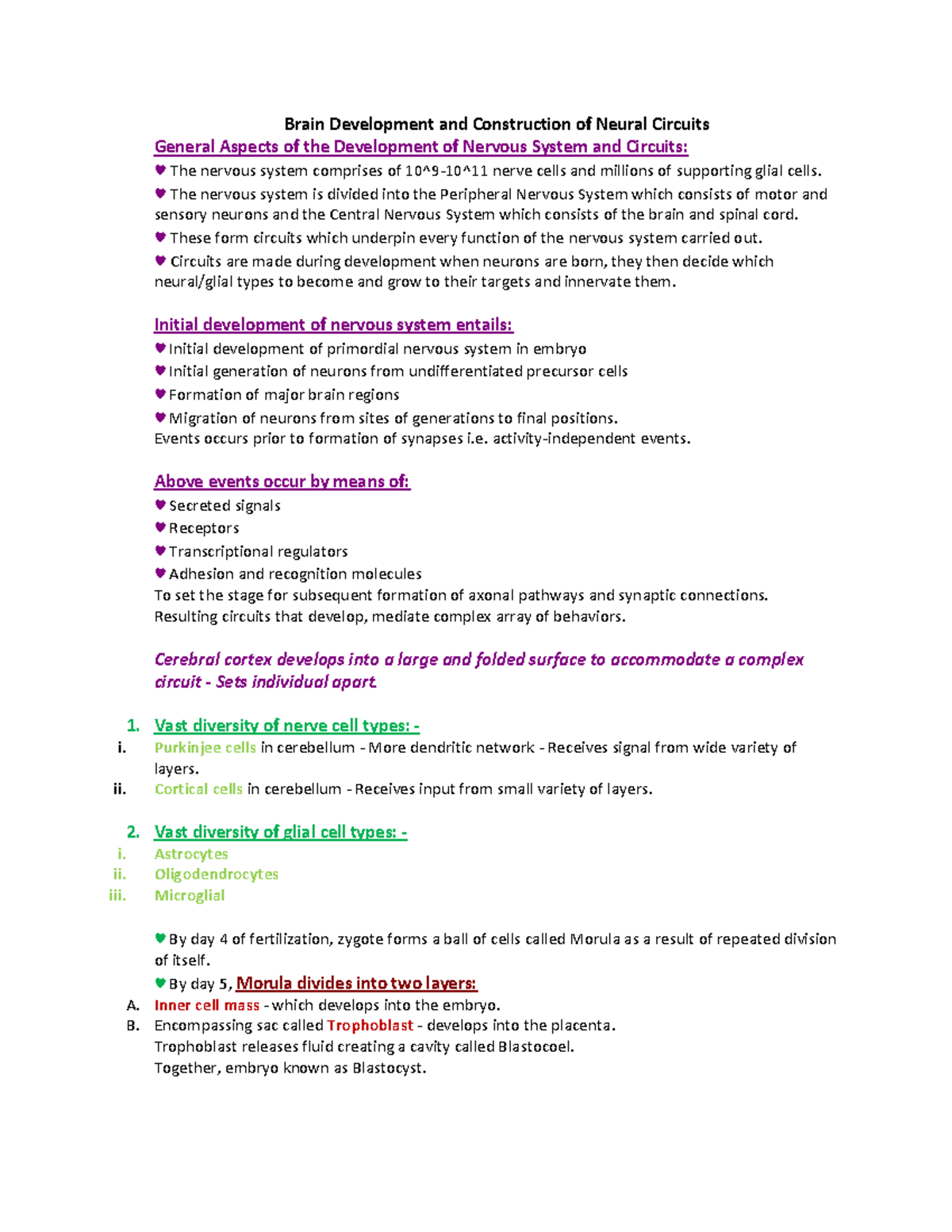 Brain Development And Construction Of Neural Circuits Lecture Notes