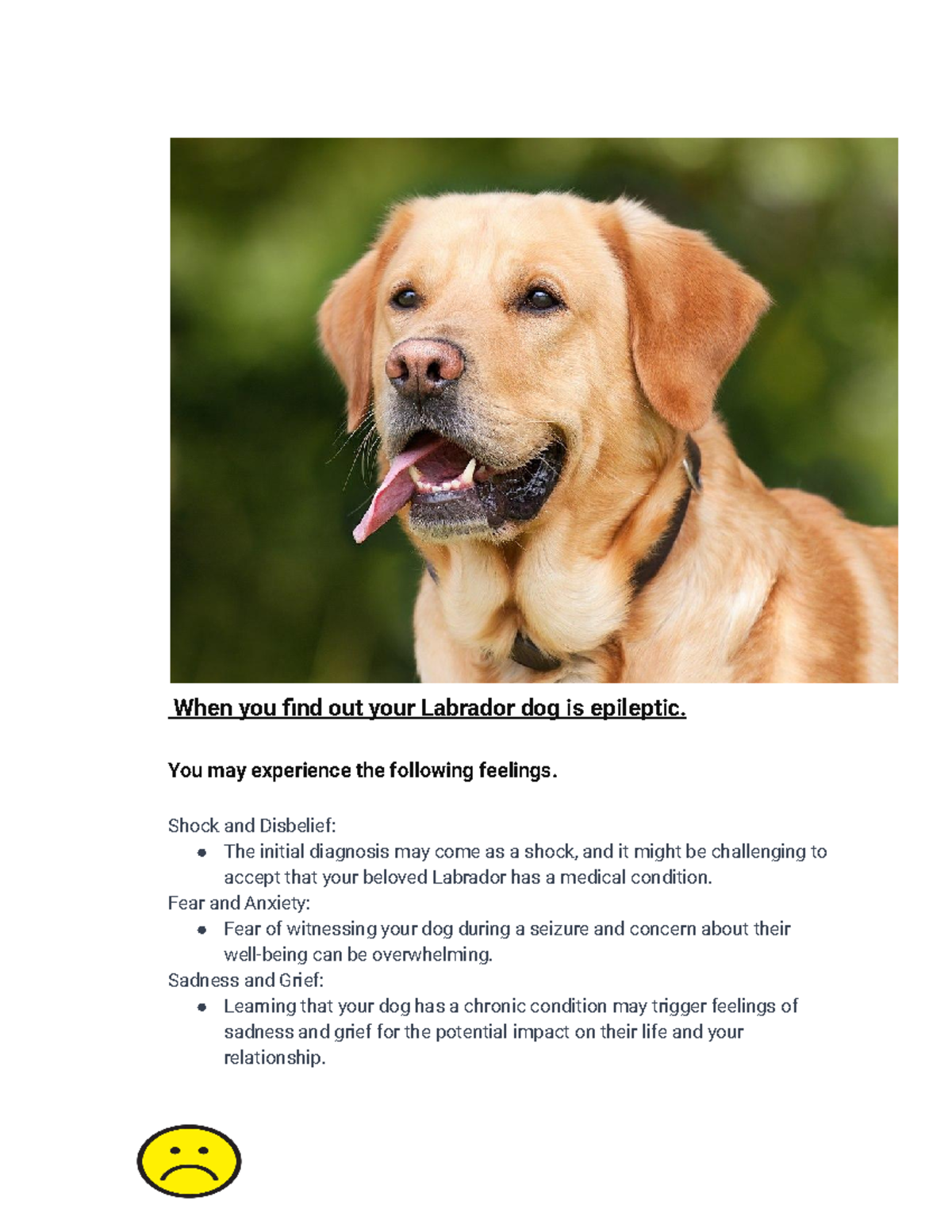 Essay of Labradors having seizures - When you find out your Labrador ...