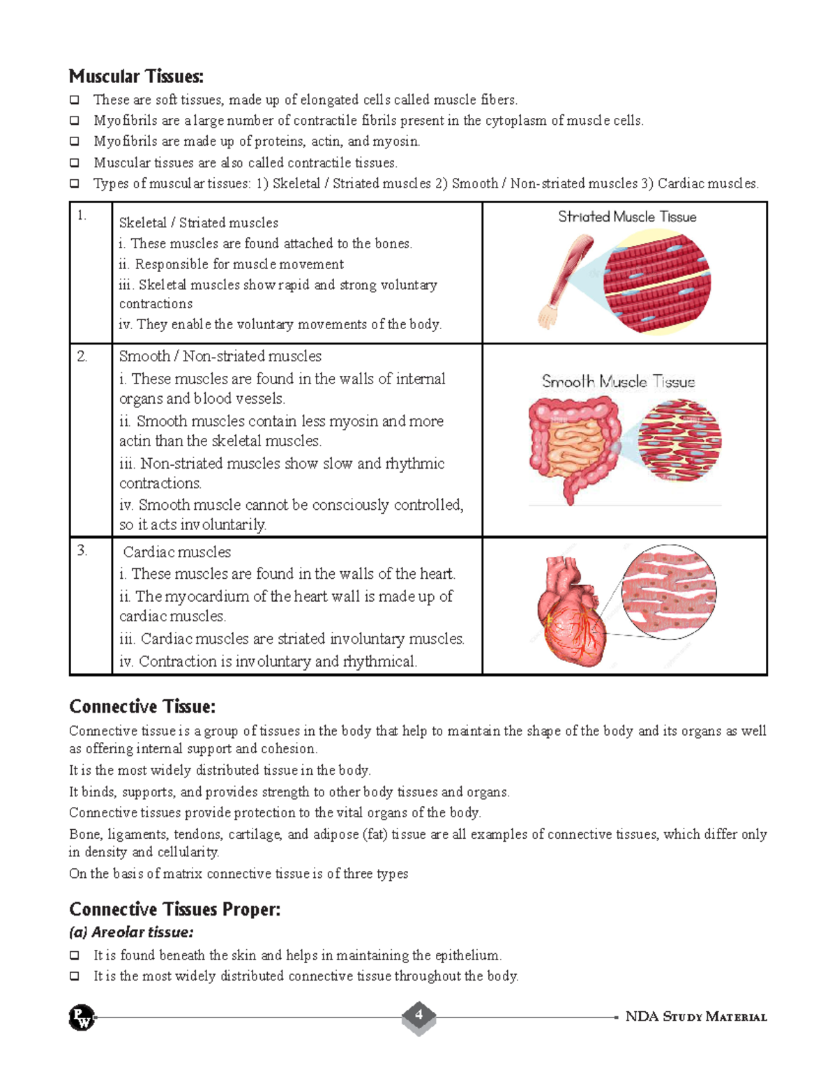 02 Tissues - Good to go - 4 NDA Study Material Muscular Tissues: These ...