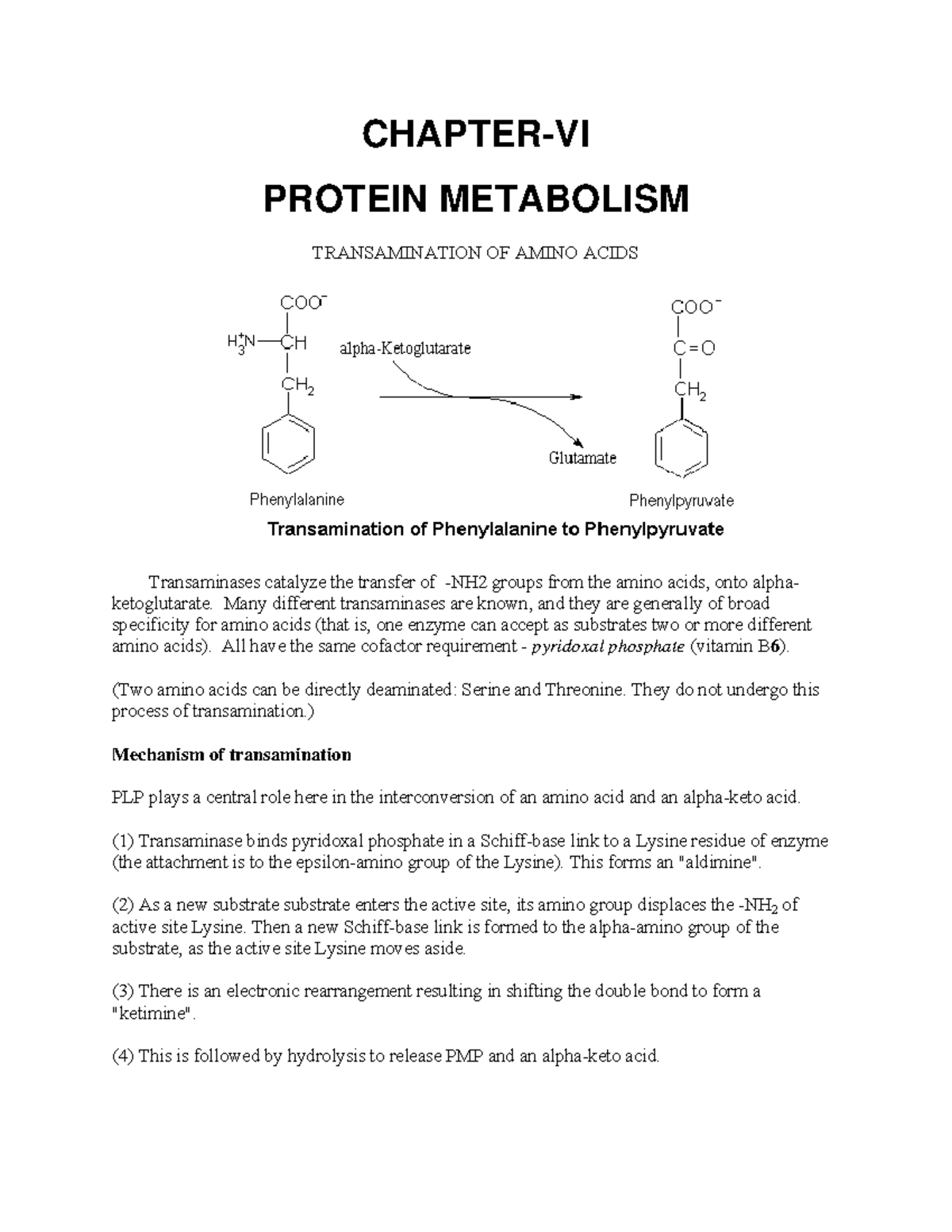 Protein Metabolism - CHAPTER-VI PROTEIN METABOLISM TRANSAMINATION OF ...