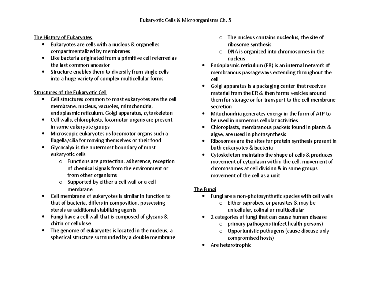 Ch. 4 - read the textbook with notes - Eukaryotic Cells ...